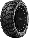Radar Renegade X Mud Terrain Light Truck Tires Online | SimpleTire