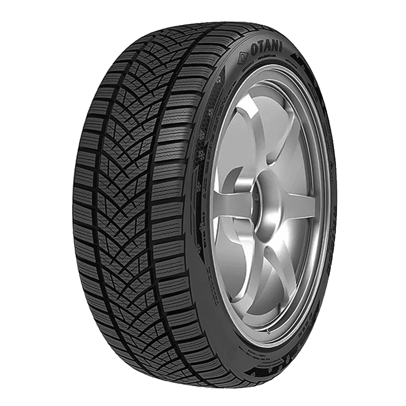 Otani WK1000 Winter Passenger Tires Online | SimpleTire